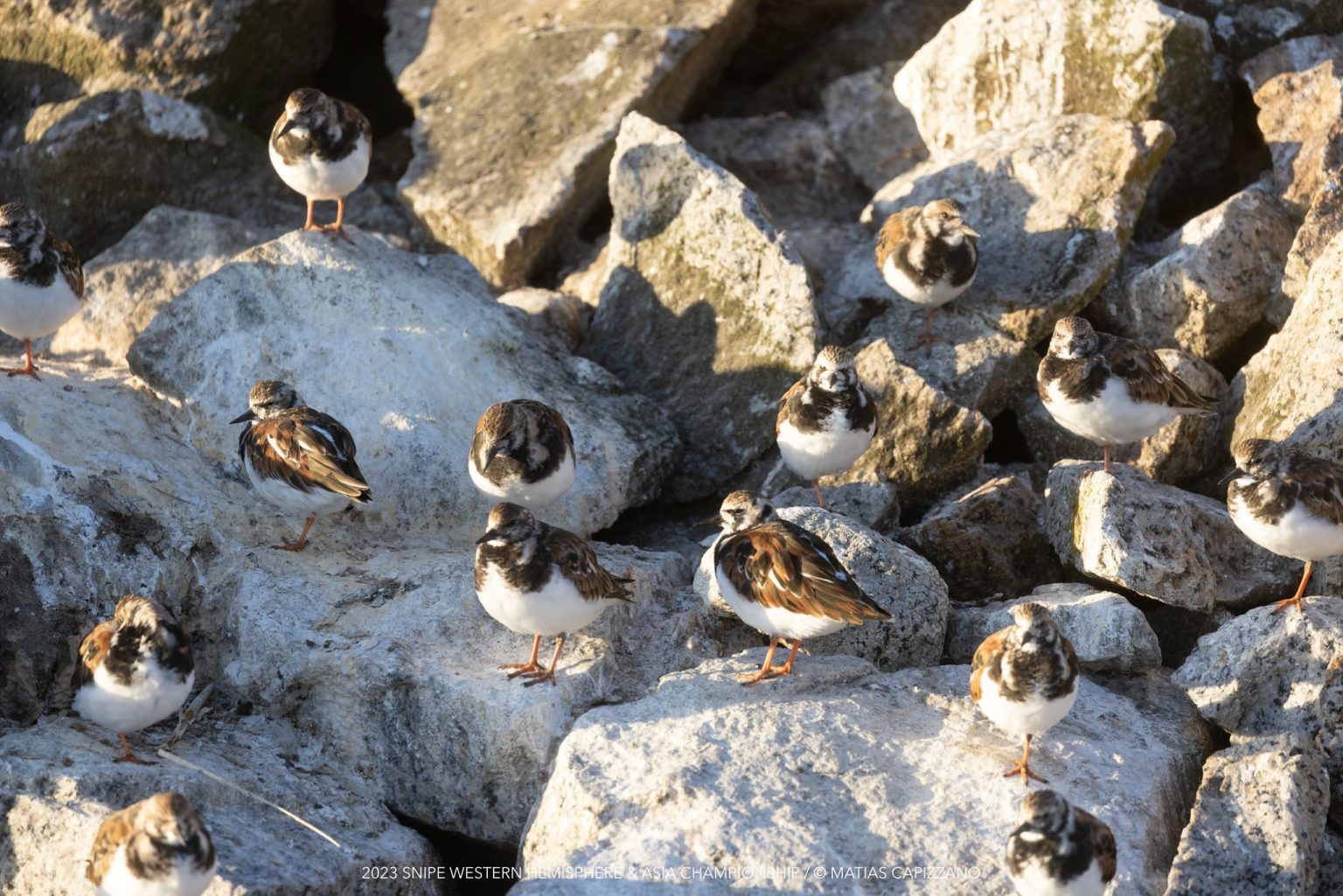 Western Hemisphere & Asia Championship - Day 3 - SnipeToday - Snipe ...